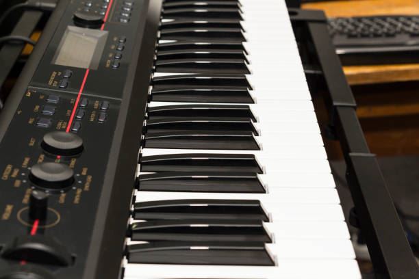HOME [piano-keyboard-79.webself.net]